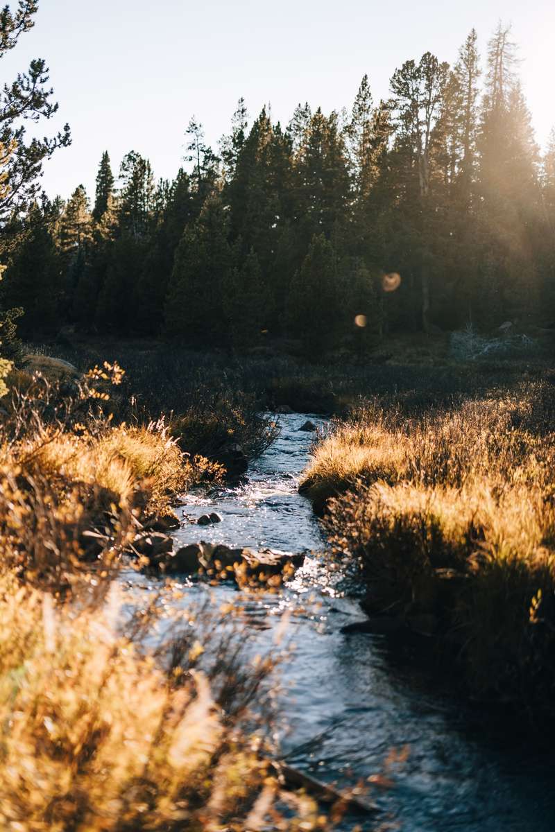 Uintah Mountains Northeastern Utah-NoTellum outfitters
