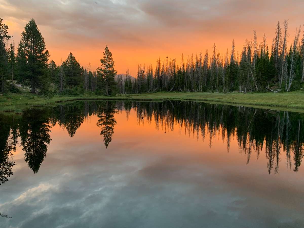 Uintah Mountains Northeastern Utah-NoTellum outfitters