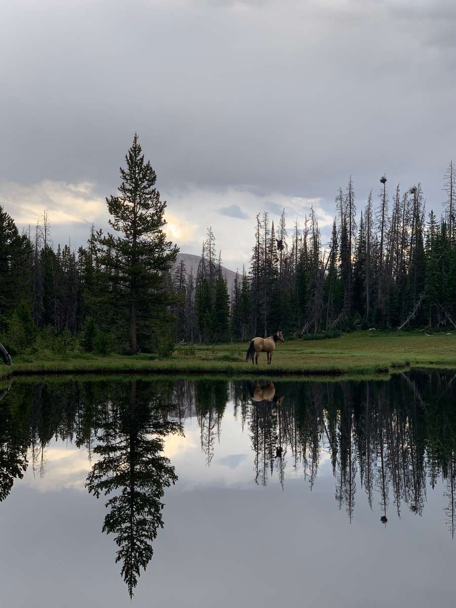 Uintah Mountains Northeastern Utah-NoTellum outfitters