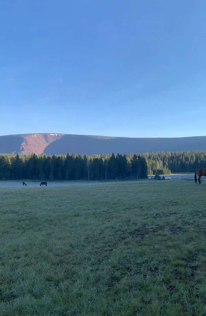 Uintah Mountains Northeastern Utah-NoTellum outfitters
