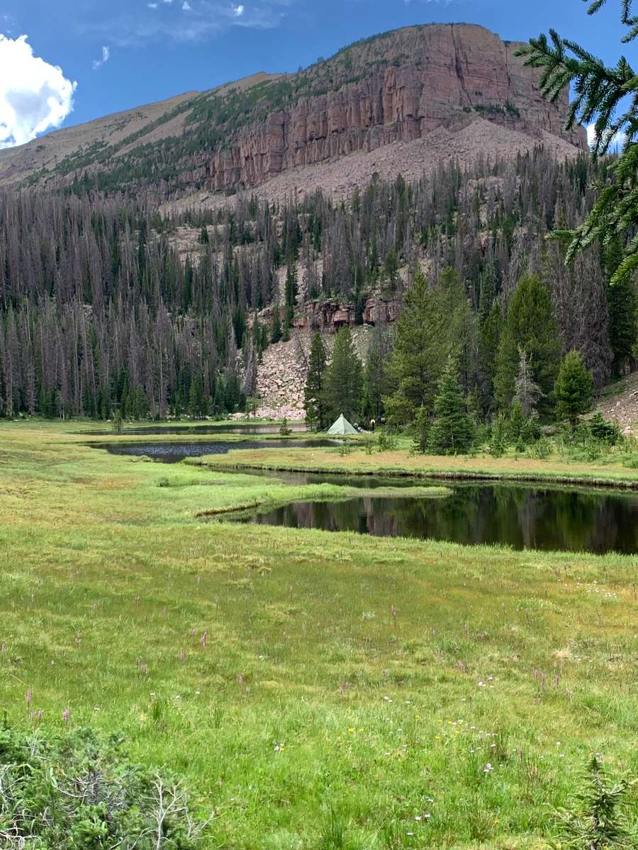 Uintah Mountains Northeastern Utah-NoTellum outfitters